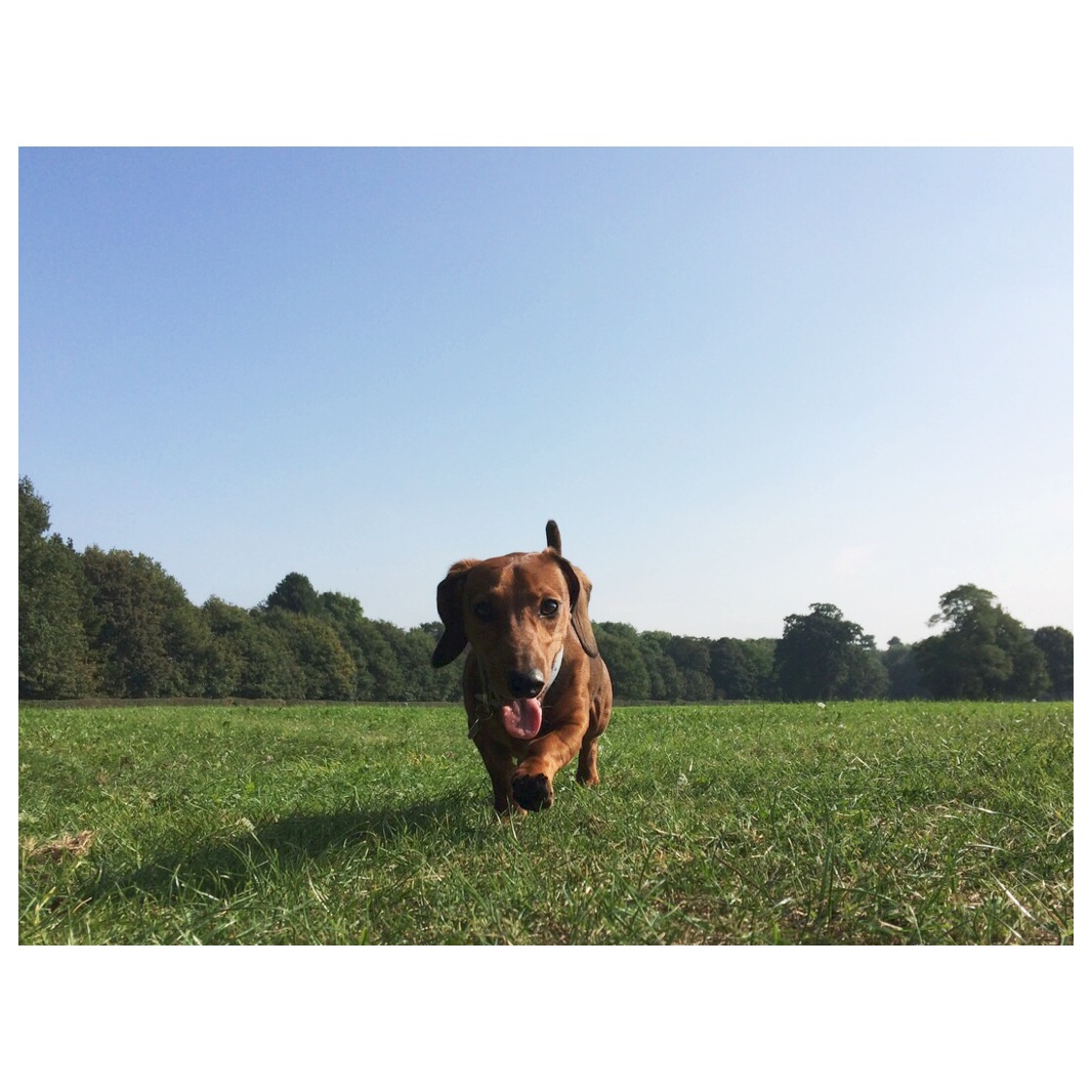 Hello Ralph – Hello Cake